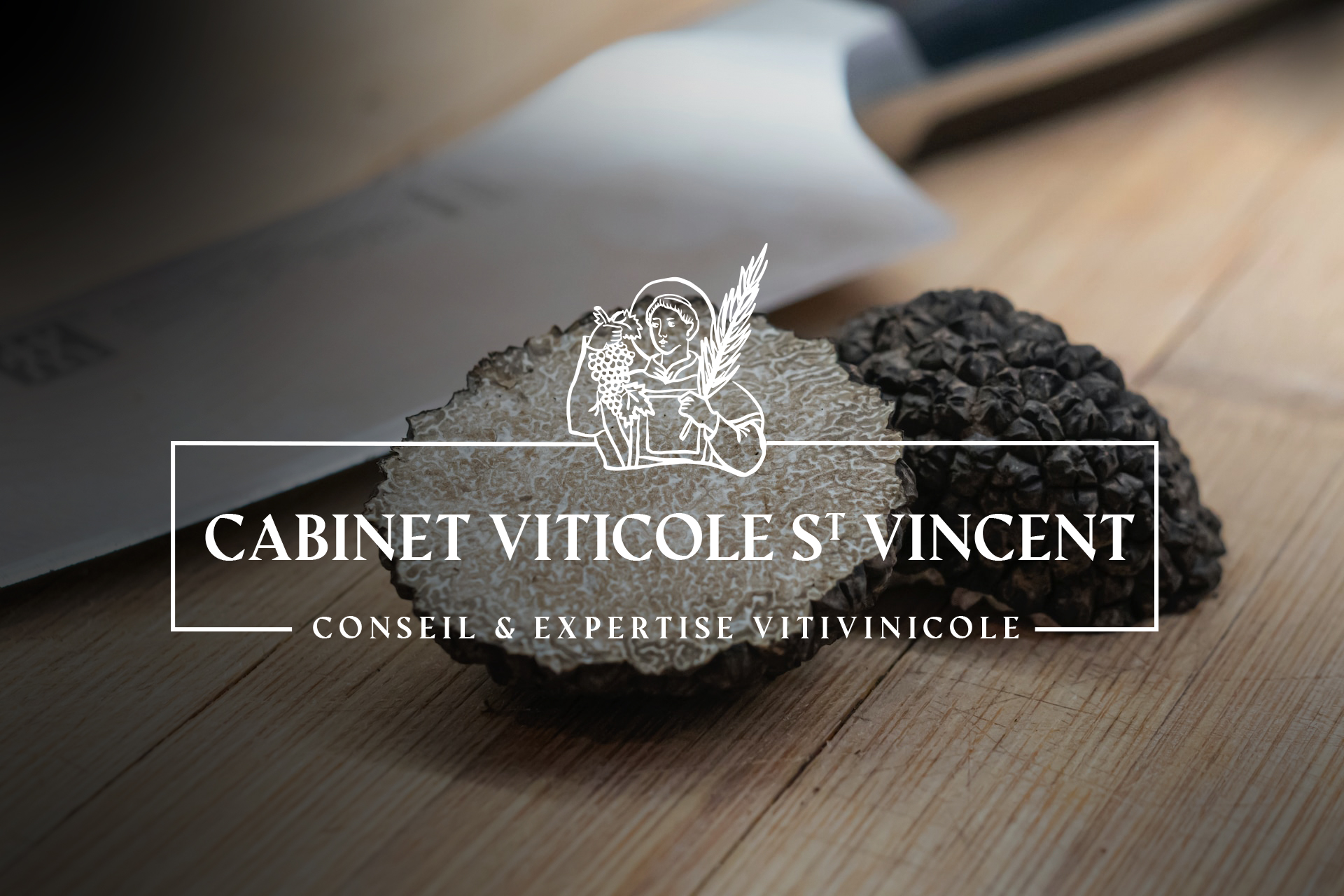 Viticulture : diversification par la culture d'une truffière